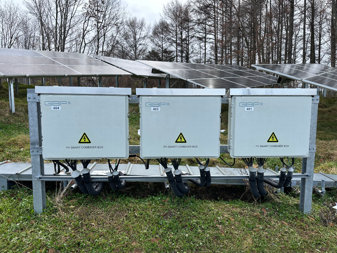 GBP - Global Business Partner