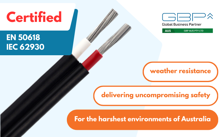 GBP - Global Business Partner